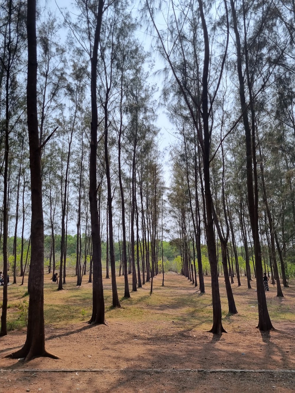 Agoo Eco Park | Papromote